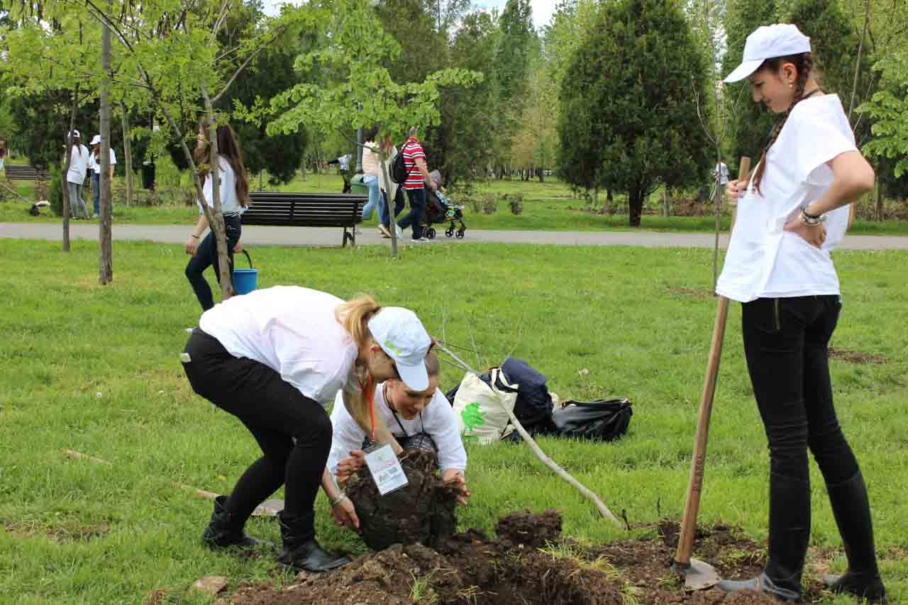 Eveniment de Plantare a Copacilor 15 Aprilie 2016 - Proedus